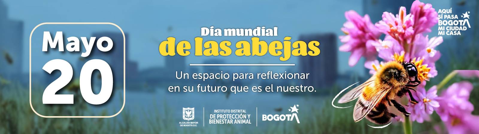 Inicio